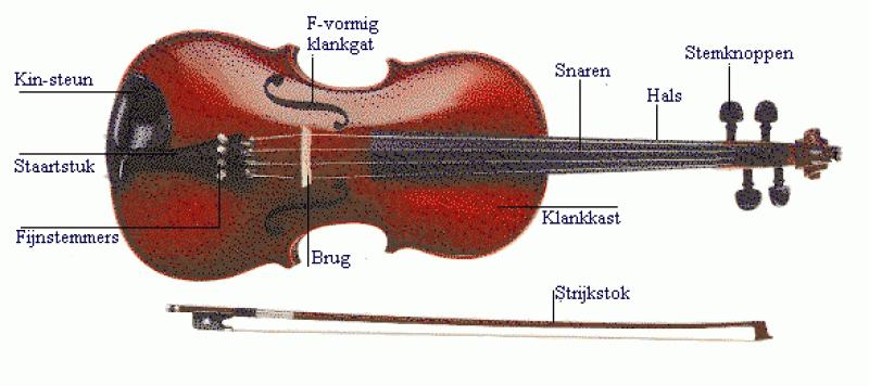 De viool, een veelzijdig akoestisch strijkinstrument