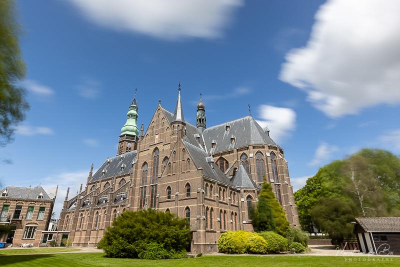 Lisse startpagina met alles over Lisse en Lisserbroek