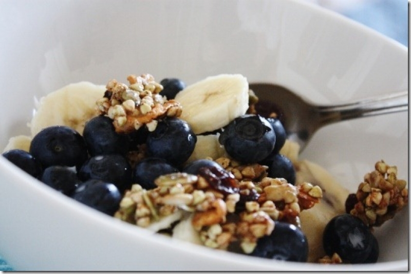 Rauw! Het rauwvoedsel-dieet. Levend-voedsel Rawfood voeding geheel raw
