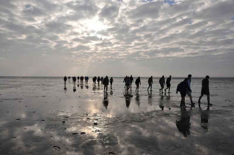 Wadlopen? Alles over wadlopen naar Ameland, Texel, Terschelling en meer ...