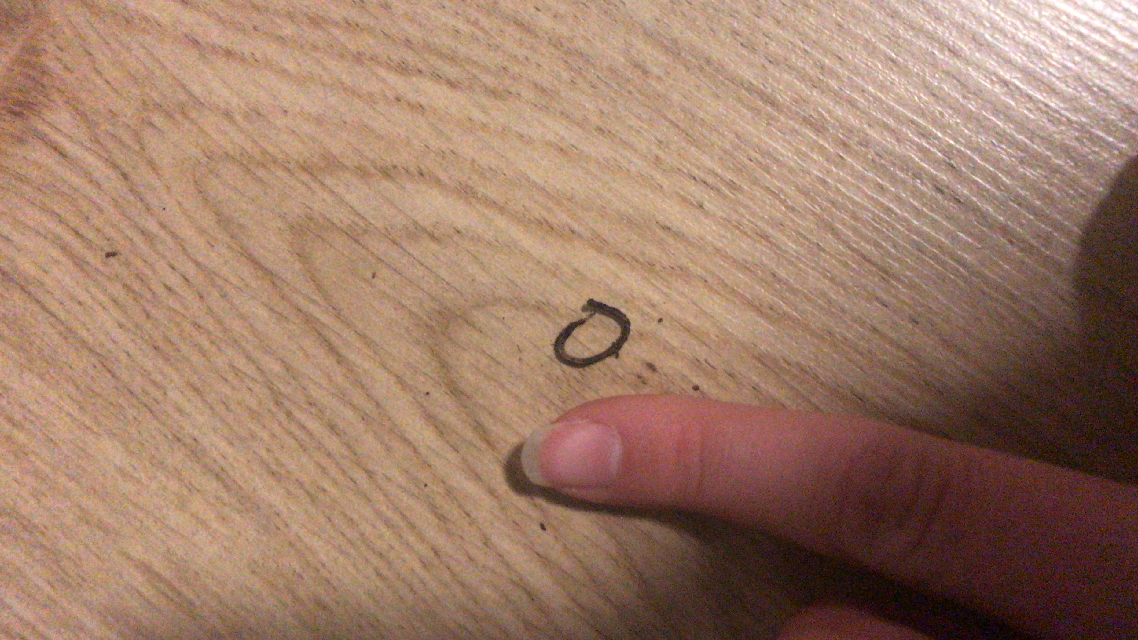 Van welk beest is dit poepje? - GoeieVraag