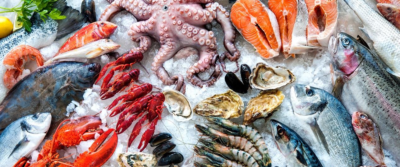 Top 5 van gezonde vissoorten om te eten – Startpagina Blog