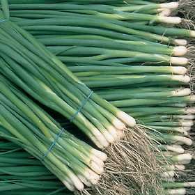 wat is het verschil tussen bosui en lenteui? - GoeieVraag