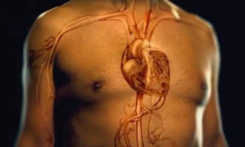 Longembolie Startpagina - informatie over longembolieën